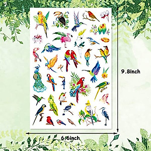 Watercolor Bird Stickers Party Favors 730 Counts Animal Jungle Woodland Tropical Birds Flamingo Parrot Stickers Gift Water Bottle Scrapbook Laptop Planner Stickers Kids Boys Girls Birthday Party