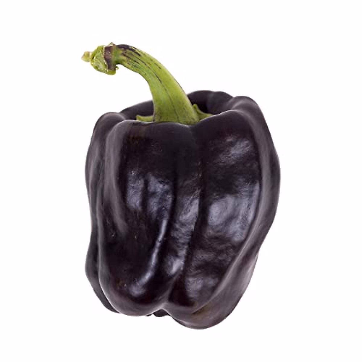 Purple Beauty Sweet Bell Pepper Seeds for Planting, 100+ Heirloom Seeds Per Packet, (Isla's Garden Seeds), Non GMO Seeds, Botanical Name: Capsicum annuum, Great Home Garden Gift