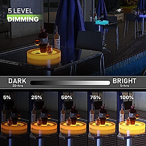 Magshion LED Light-Up Serving Tray 16 Color Cocktail Party Service Delivery Tray Rechargeable Multicolor Lighting Serving Trays Barware with Remote for Music Theme Birthday Party