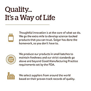 Solgar Magnesium with Vitamin B6, 250 Tablets - Promote Healthy Bone Mineralization, Support Nerve & Muscle Function, Energy Metabolism - Non-GMO, Vegan, Gluten Free, Dairy Free, Kosher - 83 Servings