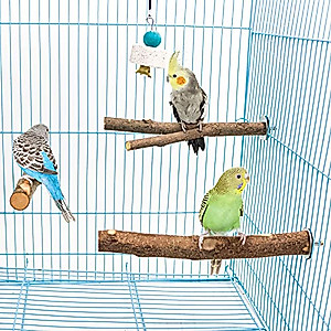 4 Pack Natural Wood Bird Perch for Bird Cages,Parrot Stand Perch Platform Exercise Playground Toys Paw Grinding Stick Perch Stand Cage Accessories for Budgies Cockatiel Conure Parakeet Lovebirds (H01)