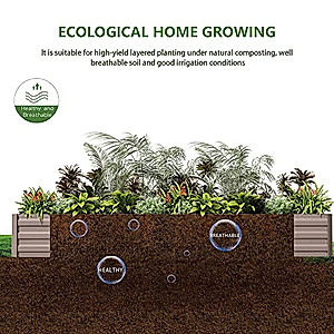 BIRASIL Outdoor Galvanized Raised Beds, Steel Garden Boxes for Flower Vegetables, Metal Planter Box for Gardening Backyard Patio (8x2x1FT, Gray)