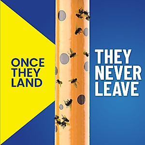 GATCH Fruit Fly Trap (10 Pack), Fly Stick for Mosquitoes, Sticky Trap for Flies Gnats Wasp Flying Insects, Bug Catcher, Indoor or Outdoor Use, Ready to Use Home