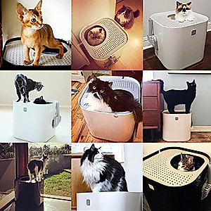 Modkat Litter Box, Top-Entry, Includes Scoop and Reusable Liner - Black