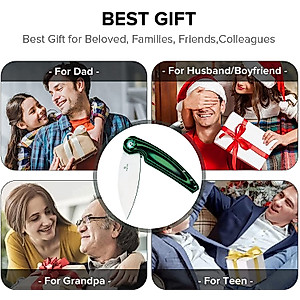 SHIELDON Bulbasaur Folding Pocket Knife, 3.66-inch Sandvik 14C28N Mirror Polish Blade and G10 Handle, Liner Lock Knife for EDC