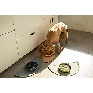 Should We Go? - Waterproof Silicone Pet Food Mat - Non-Slip, Spill-Proof Feeding Mats for Floors, Raised Edge Design, Easy-to-Clean, Durable Flexible Rubber Mat for Dog & Cat Bowls, Medium-Sage Green