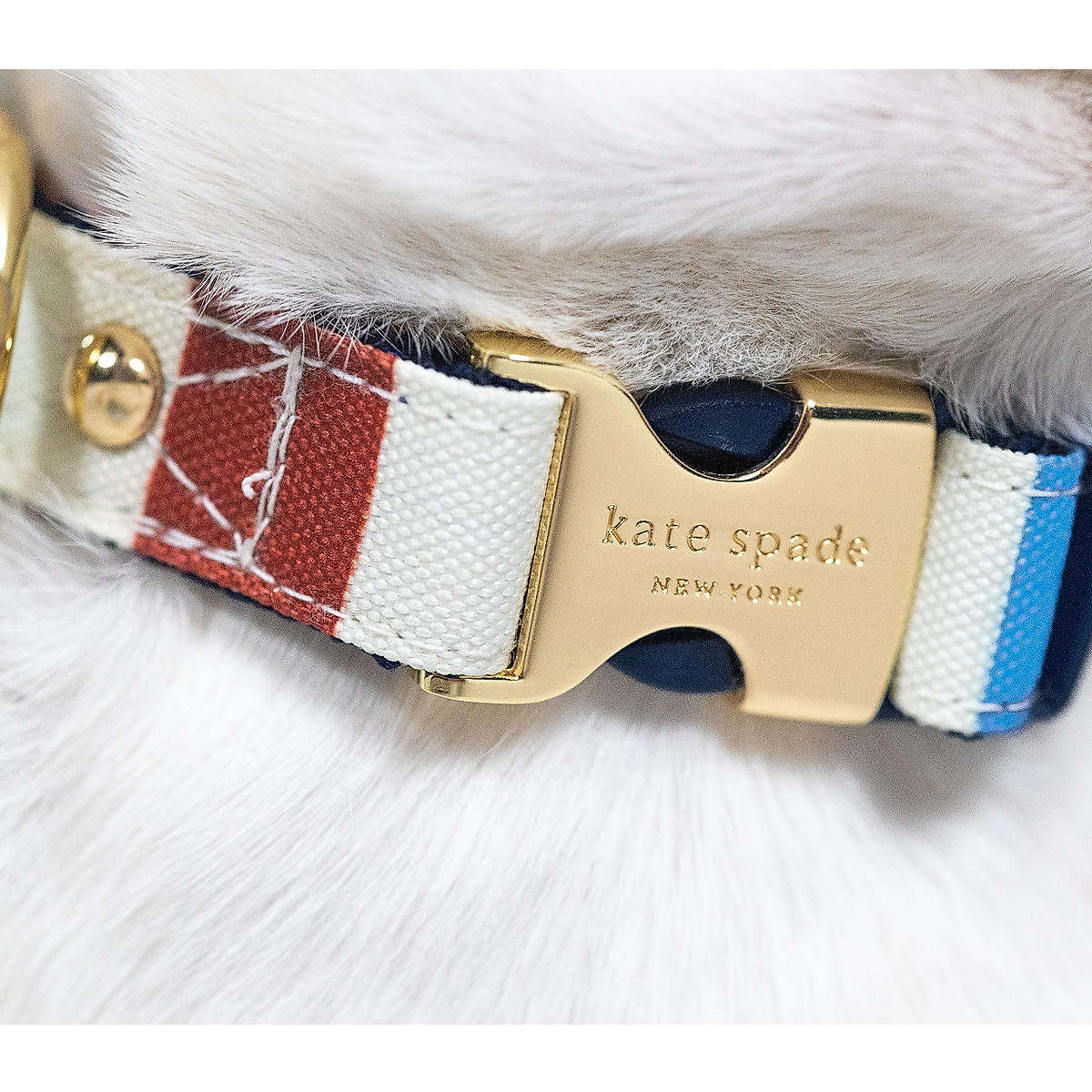kate spade new york Cute Dog Collar with Gold Metal Details & Plastic Buckle, 15" to 22" Adjustable Dog Collar for Female or Male Dogs, Medium/Large, Adventure Stripe