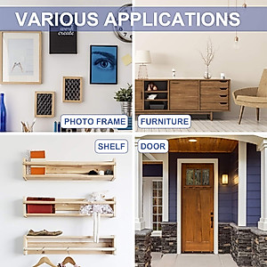 FARRAY Wood Screws Assortment Kit, 224pcs Galvanized Phillips Screws Set, Wood Screws, Assorted Screws, Screw Kit, Assorted Wood Screws, Screw Set Assortment