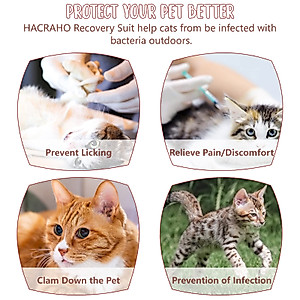 HACRAHO Cat Recovery Suit, 1 Pack Donut Pattern Cotton Cat Wound Surgery Recovery Suit Soft After Recovery Surgery for Small Cats and Dogs, M