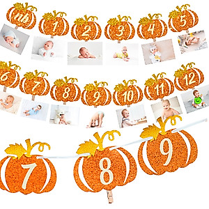 Pumpkin 1st Birthday Photo Banner Orange and Gold Glitter, Pumpkin Patch Baby Monthly New Born Garland 12 month Little Pumpkin First Themed Decorations Baby Thanksgiving Party Milestone Fall Photo