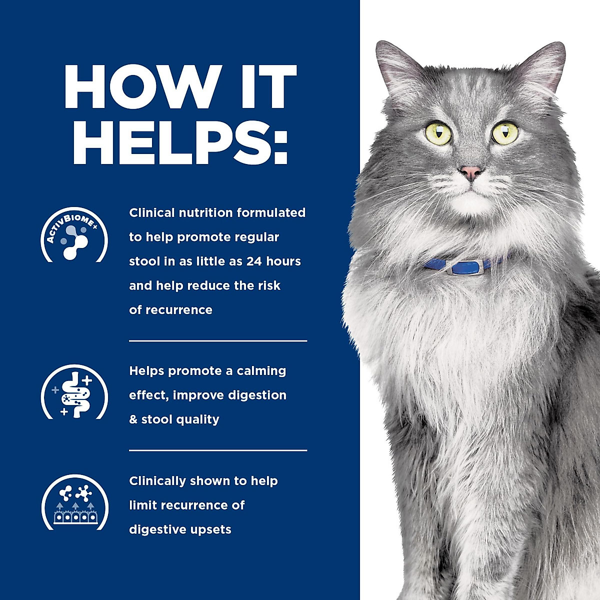 Hill's Prescription Diet Gastrointestinal Biome Digestive/Fiber Care with Chicken Dry Cat Food, Veterinary Diet, 8.5 lb. Bag