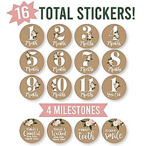 16 Monthly Baby Milestone Stickers Girl - Rustic Baby Monthly Milestone Stickers for Baby Girl, Milestone Baby Monthly Stickers, Baby Month Stickers for Baby Photo Props, Monthly Baby Stickers Girl