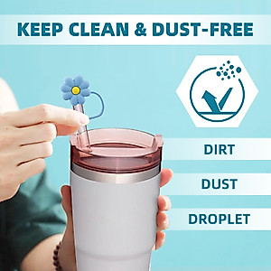 TQRR Straw Cover Cap Compatible with Stanley 40/30 oz The Quencher H2.0 Flowstate Tumbler Handle Topper for Cup Accessories (Straw - 10mm 6 Packs Mixed2)