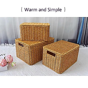 RT&BS Set of 3 Wicker Storage Basket with Lid, Handwoven Storage Basket Box - Organizer for Toys Books Fruits Stationery