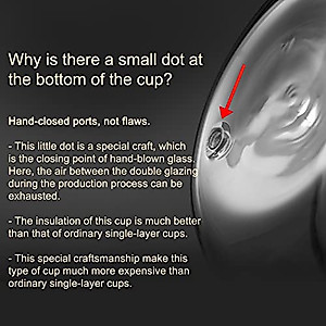 Double Walled Cups Set of 2-12 oz Glass Coffee Cups with Handle, Insulated Thermal Mugs of Premium Quality Borosilicate Glass for Cappuccino,Latte,Tea,Shots,Milk; Microwave,Dishwasher Safe