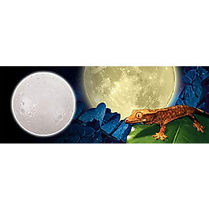 Exo Terra Exo Terra Full Moon