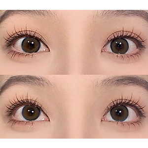 Ninetynine Dreams 5 Pairs Natural Style False Eyelashes 3D Lightweight Natural Comfortable Clear Band Daily Eyelashes Fluffy Soft Eyelashes Packs