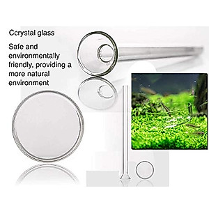 Aquarium Shrimp Feeding Tube and Dish, Clear Crystal Glass Fish Tank Shrimp Feeder Tube Tray