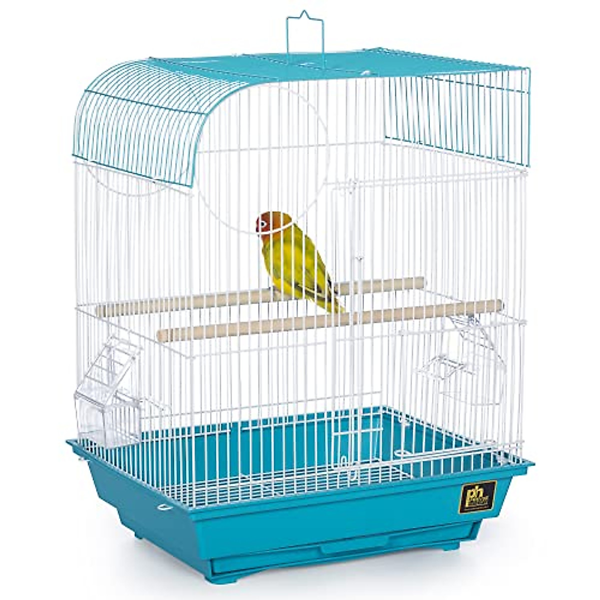 Prevue Pet Products South Beach Flat Top Bird Cage, Teal (SP50061)