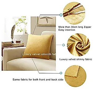 GIGIZAZA Gold Velvet Decorative 20x20 Throw Pillow Covers for Sofa Bed 2 Pack Soft Cushion Cover