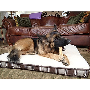 Yak Snak Dog Chews - All Natural Hard Cheese Himalayan Dog Treats - Long Lasting Dog Chews, Made from Yak Milk, Small, Medium. Large & Extra Large Sizes (XXL 1-Pack)