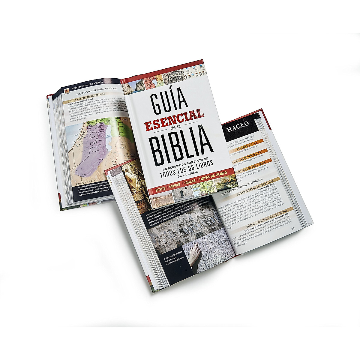 Guía esencial de la Biblia | Ultimate Bible Guide (Spanish Edition)