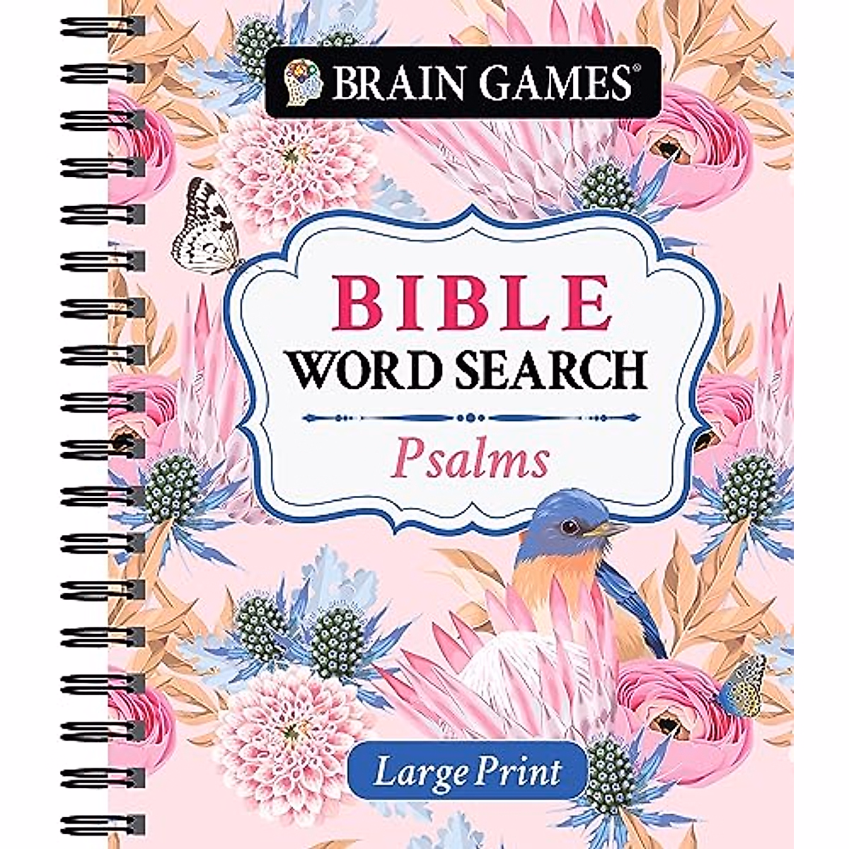 Brain Games - Large Print Bible Word Search: Psalms (Brain Games - Bible)