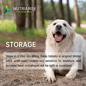 NUTRIARISE Same for Dogs and Cats - S-Adenosyl-L-Methionine, Liver Supplements for Dogs and Cats - Brain Supplement for Dogs and Cats, Promotes Cognitive Support, Liver Support Supplement