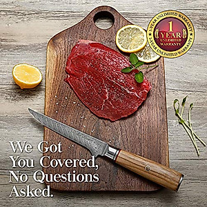 Master Maison 6" Damascus Steel Fillet Knife With Full-Tang Handle, Sheath, Sharpening Stone, Storage Box & Drying Cloth | AUS-10 Japanese Stainless Steel Ultra Sharp Filleting & Boning Knife For Fish