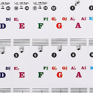 1 Set Electronic Keyboard Stickers Music Label Notes 88/61/54/49 Key Transparent for White Keys Piano Decoration(1.37inch,Transparent)