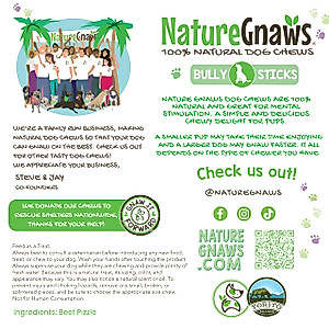 Nature Gnaws Bully Stick Bites for Small Dogs 2-4" (8oz) - Long Lasting for Light Chewers and Puppies - Natural Beef Dog Chew Treats - Rawhide Free