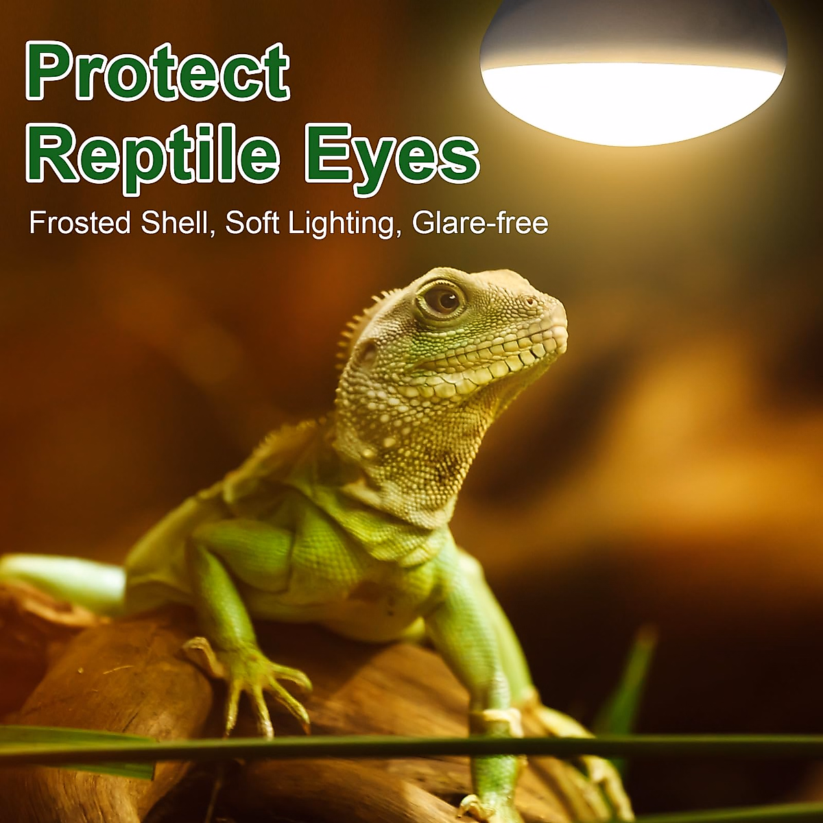 MIXJOY Reptile Heat Lamp 100W 2 Pack, UVA Daylight Basking Spot Light, Amphibians Basking Bulbs Heat Lamps, Heat Lamp Bulbs for Reptiles, Lizard, Tortoise, Bearded Dragon