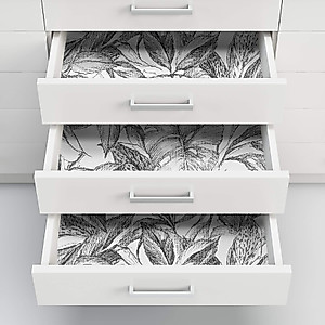 NuWallpaper NUS3498 Canopy Peel & Stick Wallpaper, Black