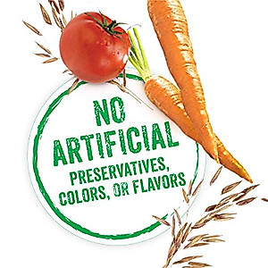 Purina Beneful Small Breed Wet Dog Food With Gravy, IncrediBites with Real Salmon - 3 oz. Cans 3 Count (Pack of 8)