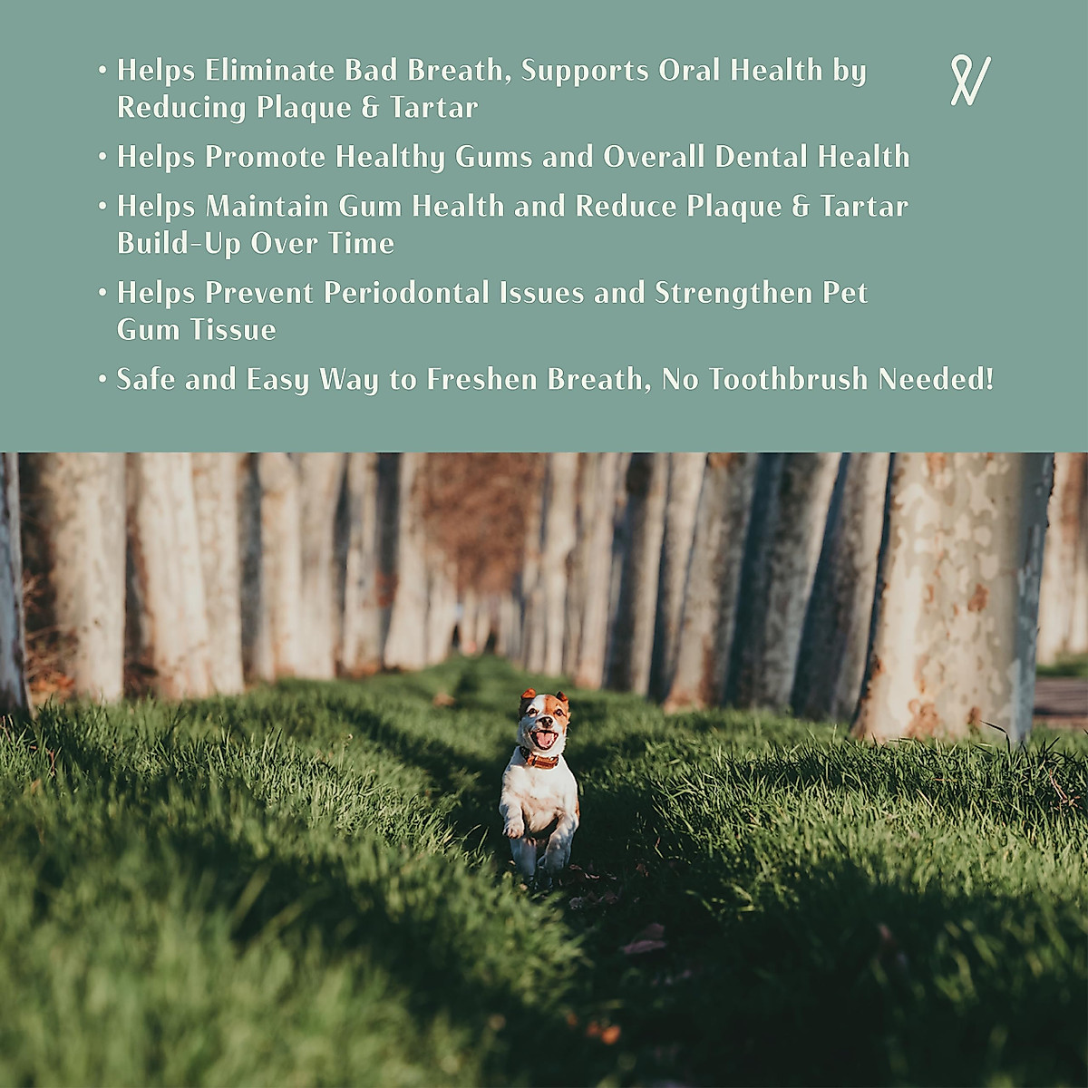 Everpath 2024 Upgraded Pet Fresh Breath Spray - 8 Fluid Ounces/236mls | Made in The USA | Enhances Dental and Gum Wellness | Supports Oral Care and Control Bad Breath | Natural Solution for Pets