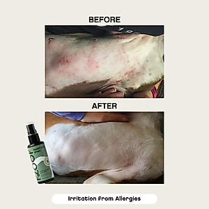 Hypochlorous Acid Spray for Dogs - Hot Spot Treatment & Allergy Relief - Dog Skin Anti Itching & Paw Licking Remedy - Wound Cleanser Spray (2.2 FL OZ) (Pack of 1)