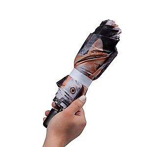 The Paragon Cat Umbrella - Compact & Portable Accessory with Photo-Realistic Kitty Images