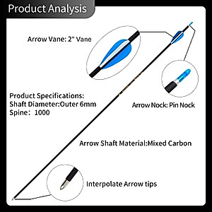 FENJANER Archery 30inch Carbon Arrow Spine 500 Practice Hunting Arrows with Removable Tips for Compound Bow and Recurve Bow (Pack of 12) (6mm-blue)