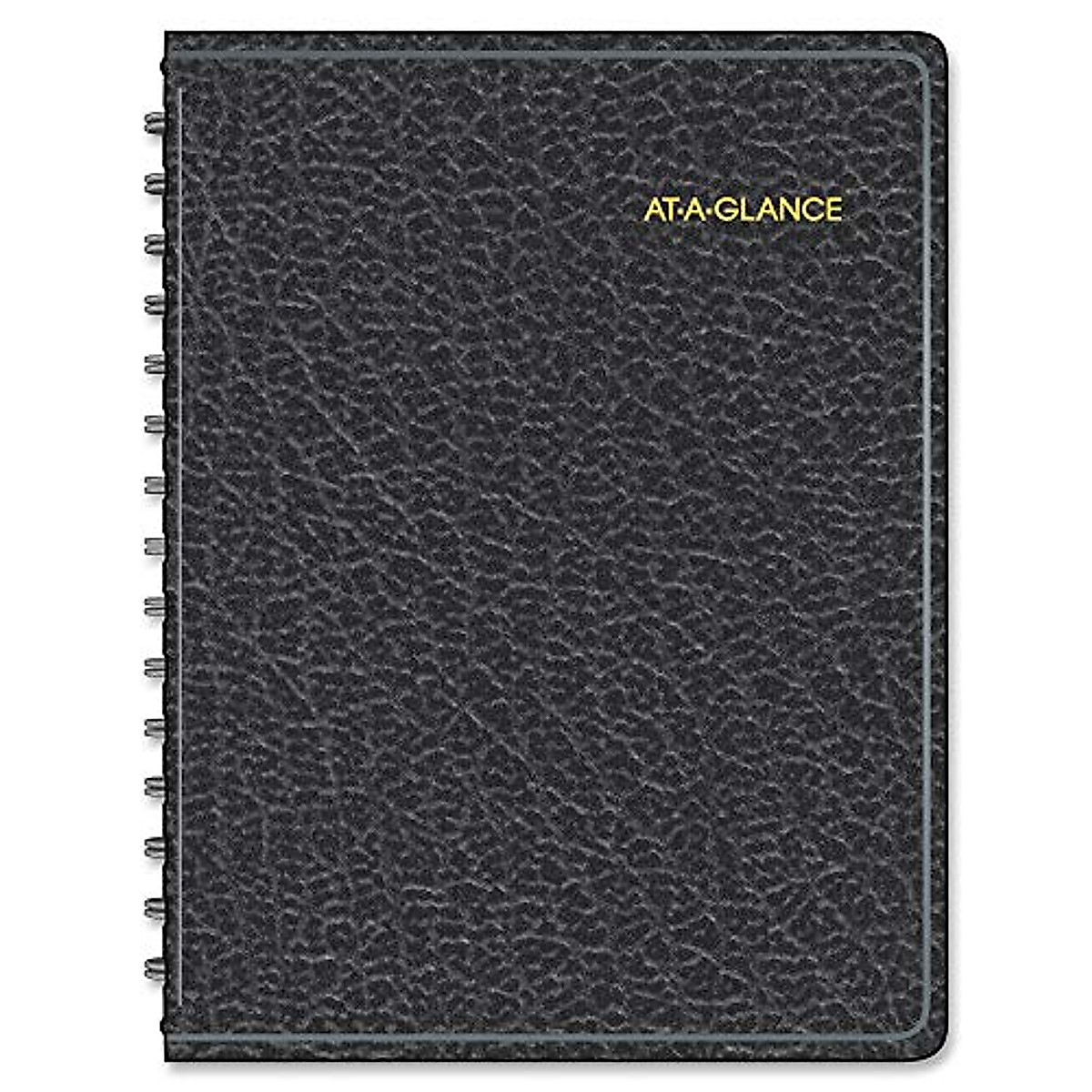 AT-A-GLANCE 8031005 Four-Person Group Undated Daily Appointment Book, 8 1/2 x 10 7/8, White