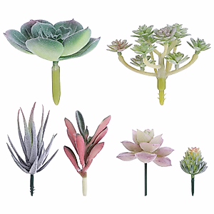 Kisangel 6Pcs Faux Succulents Artificial Simulation Succulents Cactus Artificial Potted Plants Cacti for Home Bonsai Decor Garden Greenery
