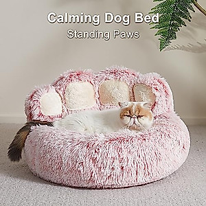 Jiupety Dog Bed with Standing Paws | Upgraded Soothing Paw Dog Bed | Cozy Comfy Dog Bed | Creative Dog Donut Bed with Bear Paws | Pink M Size 22”X22”X6”| Pet Paw Dog Bed for Dogs
