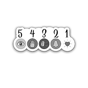 Miraki 5-4-3-2-1 Mindfulness Grounding Sticker, Mental Health Sticker, Mental Health Reminder Stickers, Water Assitant Die-Cut Vinyl Funny Decals for Laptop Phone Water Bottles Kindle Sticker