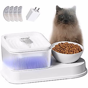 Marchul Cat Water Fountain and Food Bowl - 2L/67oz Pet Water Dispenser with Indicated Light, Smart Pump and 4 Replacement Filters for Cats and Small Dogs