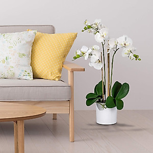 Serene Spaces Living 3 White Realistic Phalaenopsis Orchids in Pot, Artificial Potted Flowers - Beautiful Entryway Vase, Foyer Table Décor, Measures 26" Tall & 5" Diameter