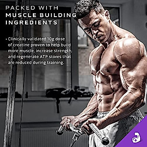 MuscleTech Mass Gainer Protein Powder, Mass-Tech Extreme 2000, Muscle Builder Whey Protein Powder, Protein + Creatine + Carbs, Max-Protein Weight Gainer for Women & Men, Triple Chocolate, 20 lbs