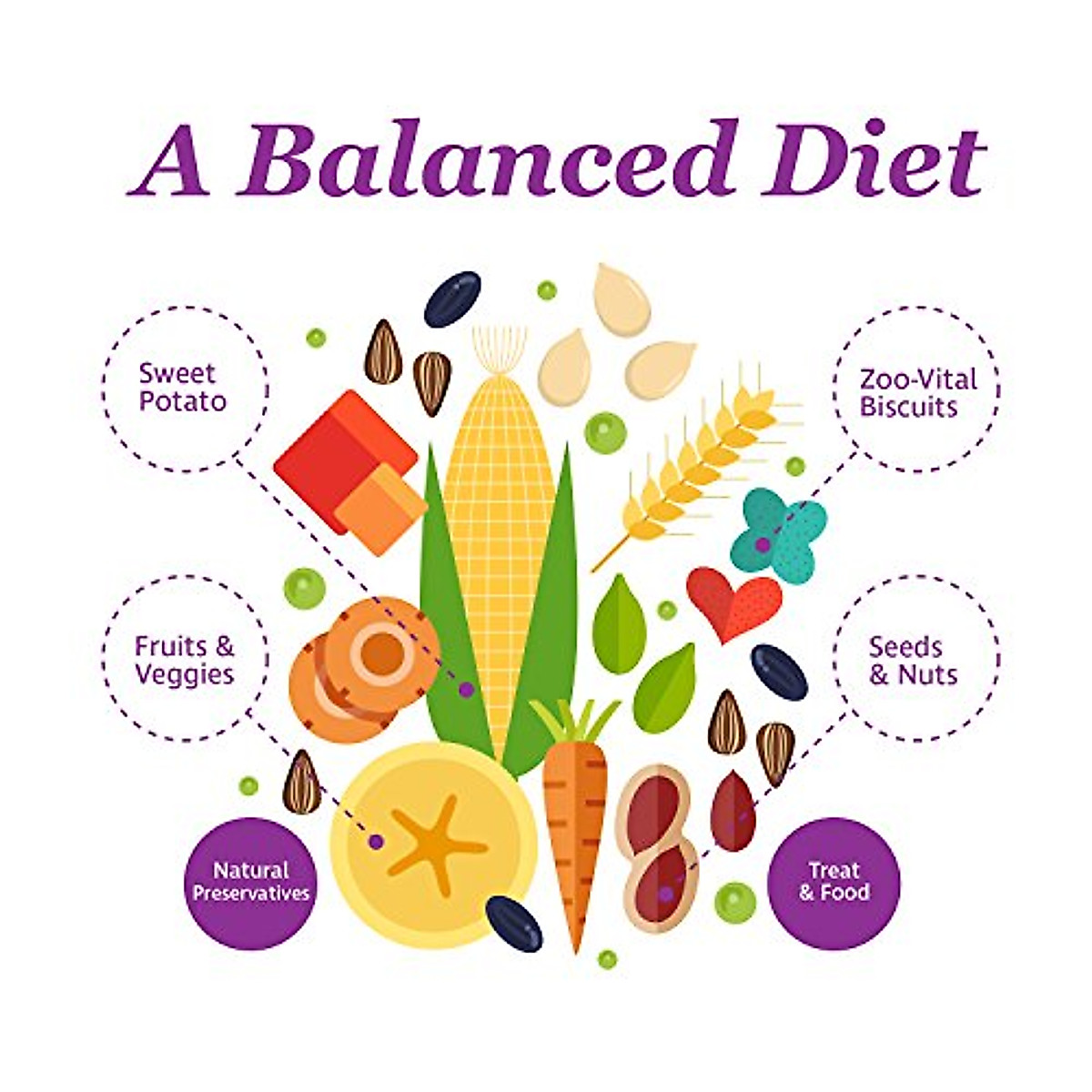 Tropical Carnival F.M. Brown's Gourmet Pet Mouse and Rat Food with Fruits - Veggies, Seeds, and Grains, Vitamin-Nutrient Fortified Daily Diet - 2lb