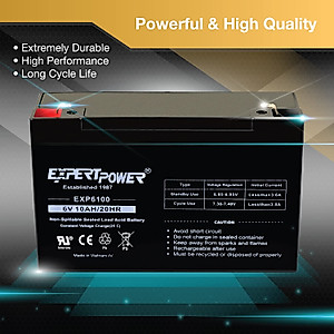ExpertPower 6V 10AH Sealed Lead Acid (SLA) Battery with F1 Terminal