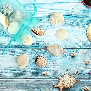 Naler 120 Pieces 2.7 x3.5 Inch Mini Sheer Drawstring Organza Bags Jewelry Sack Pouches Candy Jewelry Party Wedding Favor Gift Bags, Beige