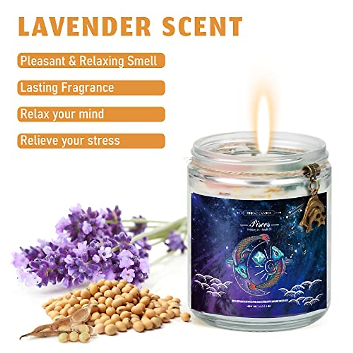 Zodiac Candles - Pisces Candle, Astrology Gifts for Women, Crystal Candles Gifts,Zodiac Gifts,February-March Birthday Gifts, Pisces Gifts,Horoscope Scented Candles with Crystals Inside-7oz…