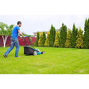 Pennington Tri-Fescue 50 LB Bag of Seed. Will Grow in Both Full Sun and Partial Shade Areas. Each Bag Covers 10,000 Square Feet When Overseeding Your Lawn + Home and Country USA Tri Fescue Tech Sheet